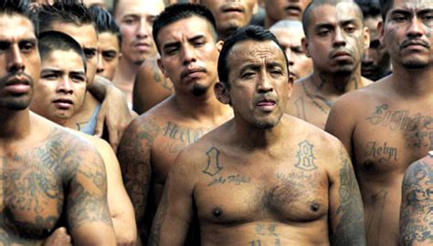 24 Ms 13 Gang Members Facing Federal Indictment For Several Crimes And