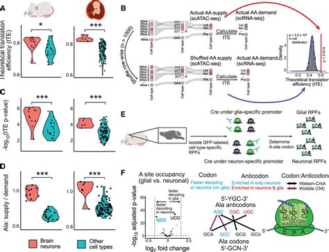 Cell Type Specific Analysis By Single Cell Profiling Identifies A
