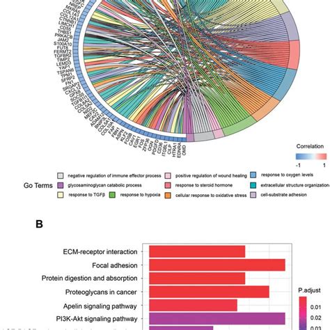 Correlation Between Hub Gene Expression And Suv And Pd L 1 Expression