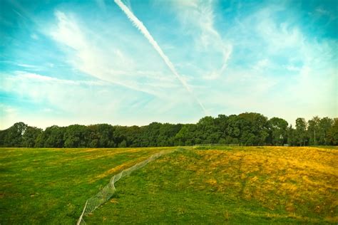 Free Images Landscape Nature Forest Horizon Light Cloud Plant