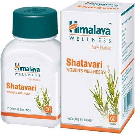 60 Tablets Ayurvedic Himalaya Cystone Tablet Latest Price Dealers