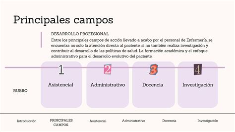 Campos De AcciÓn De La EnfermerÍa Profesional Ppt