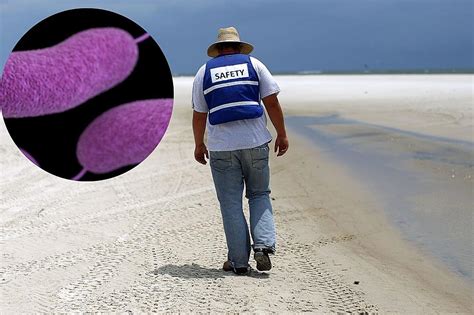 Deadly Flesh Eating Bacteria Reported In Gulf Shores Alabama