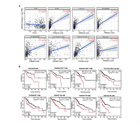 Correlation Analysis Of The Fam57a Level And Immune Cell Infiltration