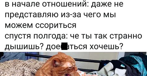 Семейное Пикабу