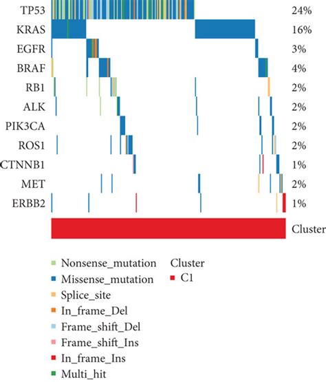 Analysis Of Mutational Molecular Events Existing Subtypes And