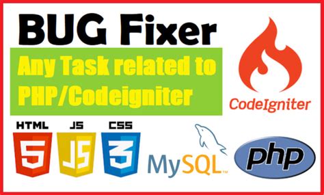 fix codeigniter php mysql html css js bugs by wadahamza77 fiverr