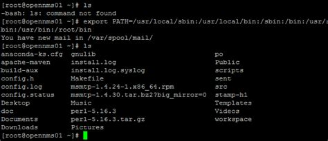 bash id command not found bash tty command not found csdn博客
