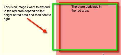 css how to set the height 100 of the flex box item stack overflow