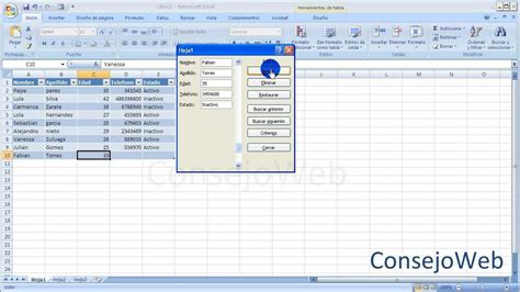 excel 2007 2010 funcion formulario en excel ingresar