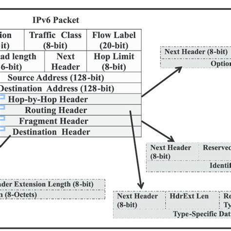 Basic Concepts Of Ipv6 Download Scientific Diagram