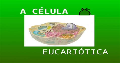 Ppt A CÉlula EucariÓtica A Célula é A Unidade Básica Estrutural
