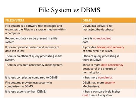 file system vs dbms