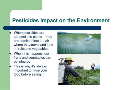 Ppt Pesticides Powerpoint Presentation Free Download Id 3532775