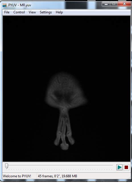 frame unable to extract images properly from a yuv raw