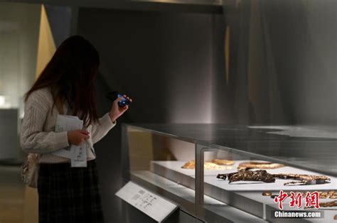 香港故宫文化博物馆举办首个馆藏特别展览