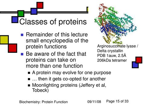 Ppt Protein Function Powerpoint Presentation Free Download Id 5488482