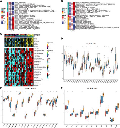 Frontiers Integrated Bioinformatics Analysis Uncovers Characteristic