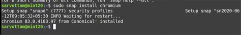 How To Enable Snap And Install Snap Packages On Linux Mint 20