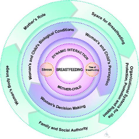 Conceptual Framework Of The Interactive Theory Of Breastfeeding