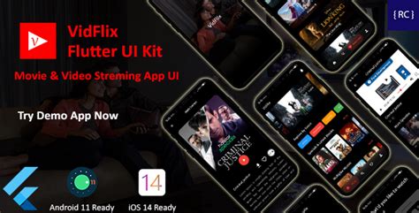3 flutter netflix clone app templates