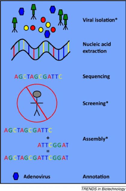 The General Outline Of Viral Pathogen Detection By Shotgun