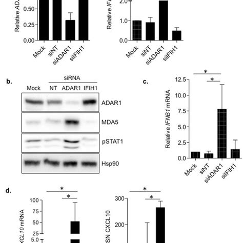 Adar1 Specifically Regulates The Rlrs Mavs Signaling Pathway A