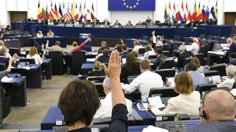 Eu Lawmakers Adopted A Report Urging Member States To Decriminalise
