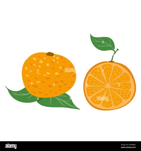 Orange Whole Half Cut Natural Healthy Organic Nutrition Product
