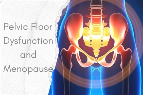 Pelvic Floor Dysfunction And Menopause Dr Neelima Deshpande
