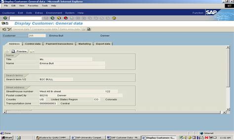 sap sample screens