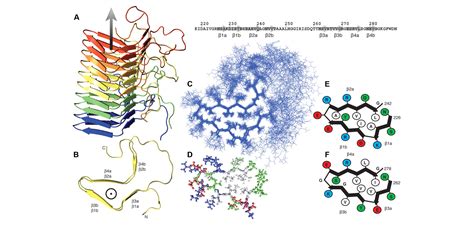 Bio Nmr Biological Nuclear Magnetic Resonance Eth Zurich