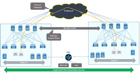 aci multi site architecture dclessons