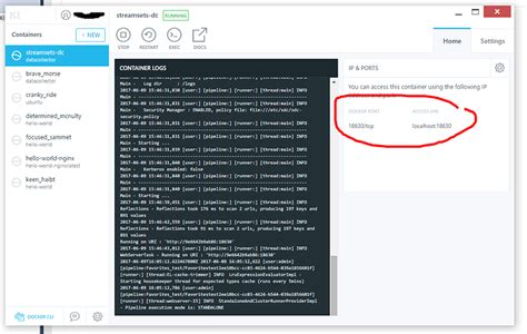 windows containers how to access in windows host machine port from