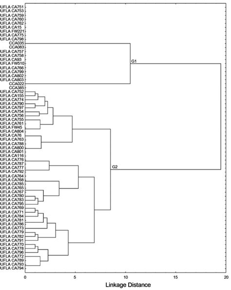dendrogram obtained by ward s hierarchical clustering method performed