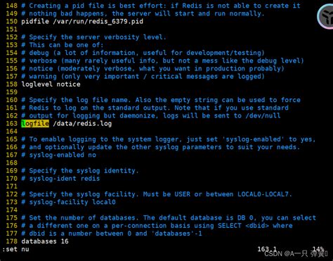 docker安装redis文件映射报错问题 logfile找不到 fatal config file error redis 6 0