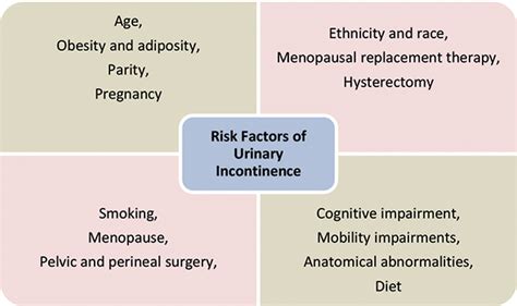 Physiotherapy In Women With Urinary Incontinence Intechopen