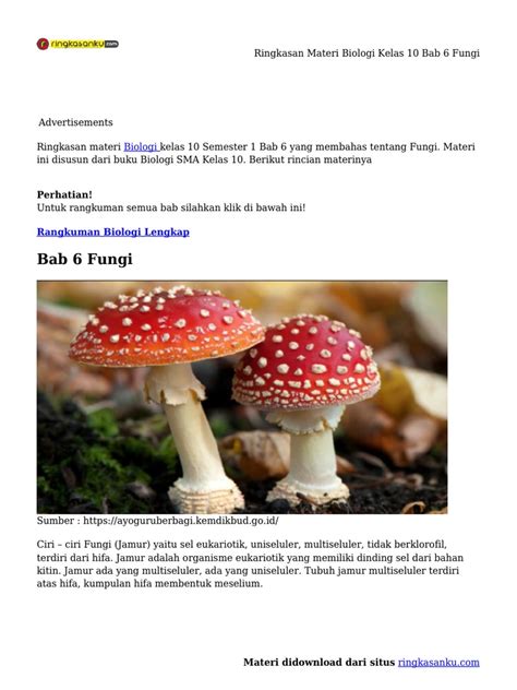 Ringkasan Materi Biologi Kelas 10 Bab 6 Fungi Pdf