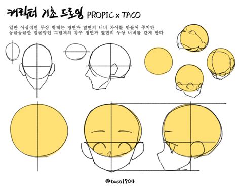 타코작가 On Twitter 그리기 튜토리얼 드로잉 강좌 체형 드로잉