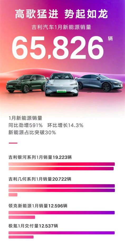 2024年1月新能源销量：比亚迪破20万，问界登顶新势力冠军 Ofweek新能源汽车网