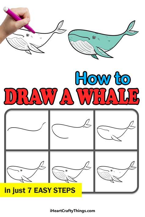 Easy Whale Drawing