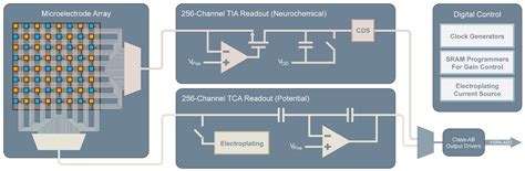 Biosensors Free Full Text A 512 Ch Dual Mode Microchip For