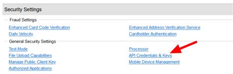 accept credit card payment using authorize payment