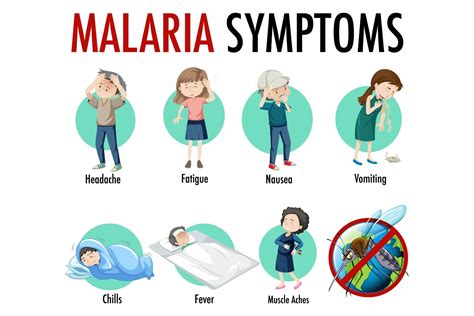 Malaria Causes Symptoms And Treatment Regency Medical Centre