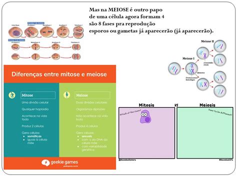 Sinapse M A C Prof Cristian Revisão Biologia Mitose Meiose Prova