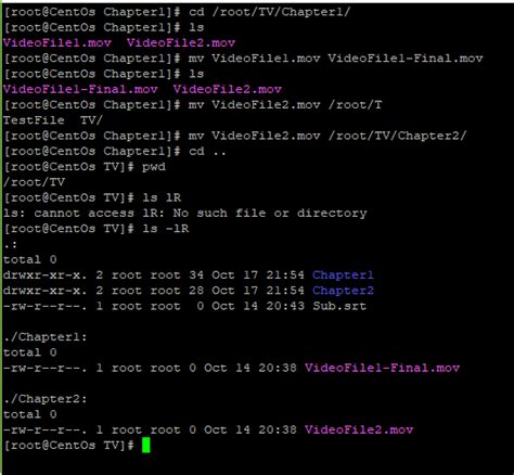 move rename file in linux