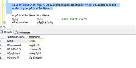 what is meant by hostname and application in sql server