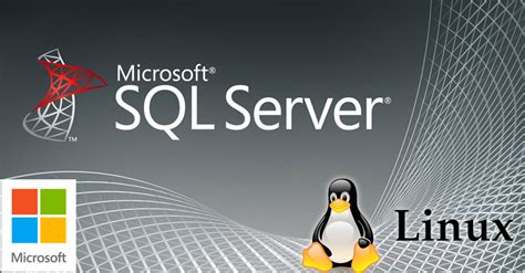microsoft brings sql server to linux tech prolonged