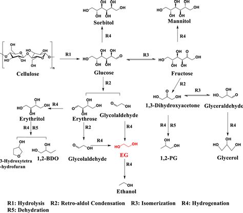 The Reaction Pathways Involved In The Conversion Of Cellulose Toward