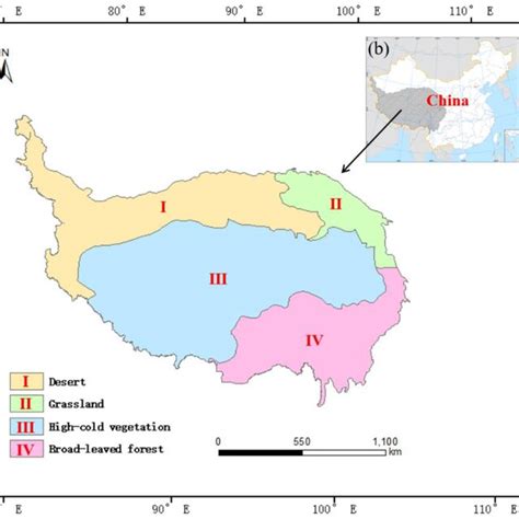 The Average Net Primary Productivity Npp In Different Vegetation